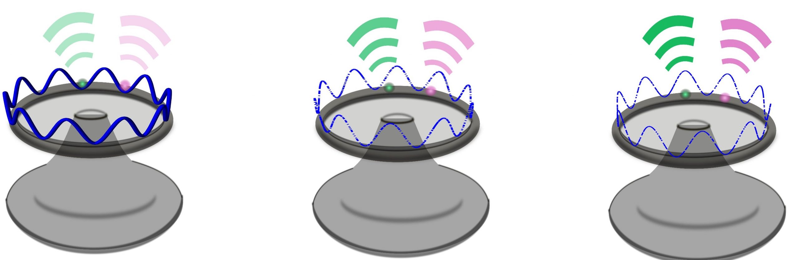 Standing wave patterns in microresonators – Del'Haye Lab